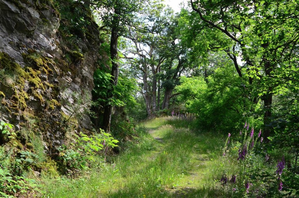 Freizeit und Sehenswürdigkeiten | Eckfeld - einfach einmalig